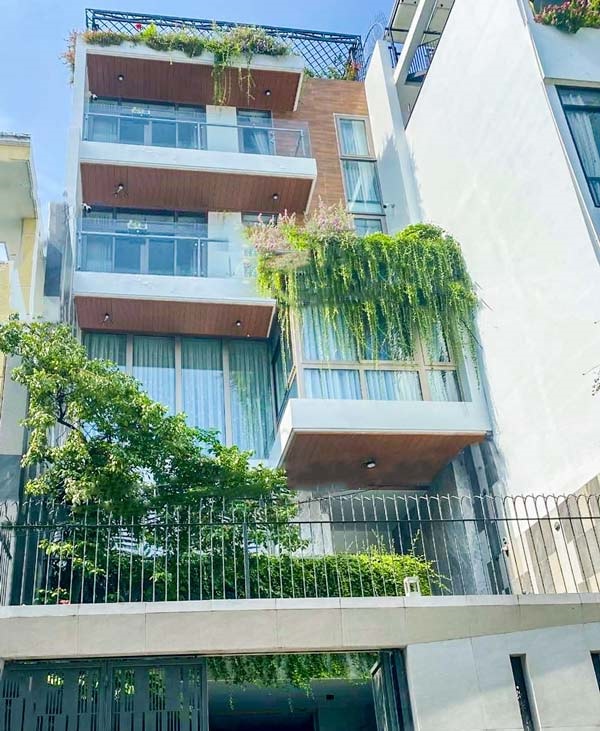 Cúc Tần Ấn Độ Trồng Ban Công - Những điều Bạn Cần Biết | Cây Xanh Tân Thúy