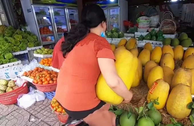 Trái Bòng: Vẻ đẹp Văn Hóa Và Giá Trị Dinh Dưỡng | Cây Xanh Tân Thúy